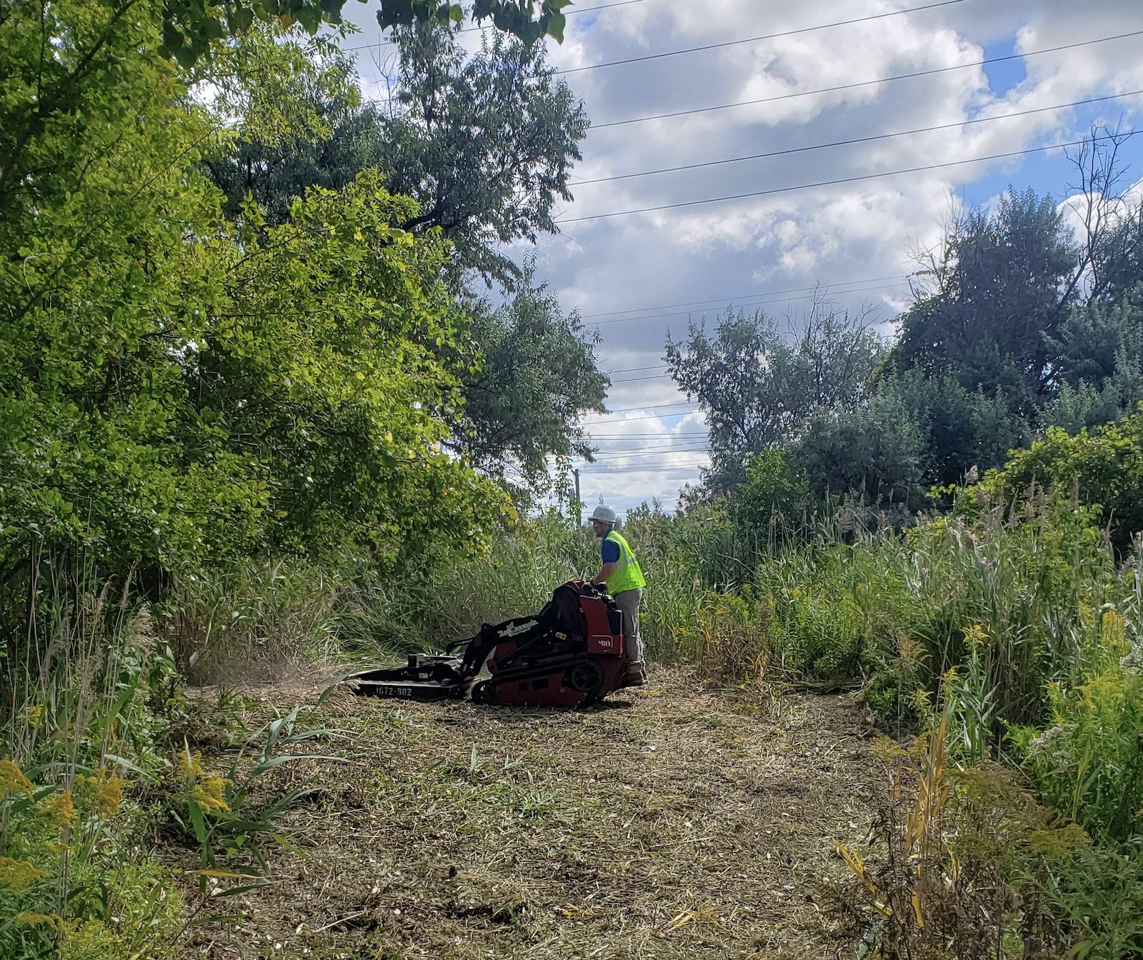 Enjoy a Safe and Maintained Site With Vegetation Control in Brownstown ...